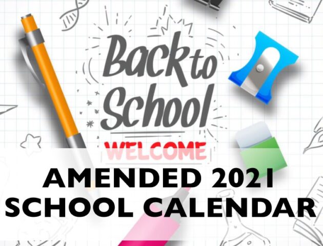 School Terms and Public Holidays for 2021: South African Schools ...